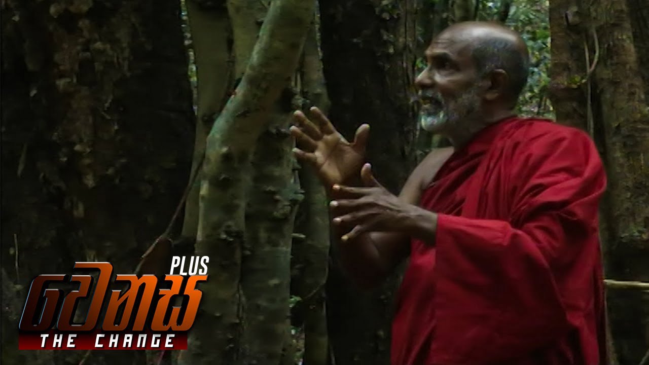 Venasa Plus – 2021-04-01 - ITN | Independent Television Network Ltd